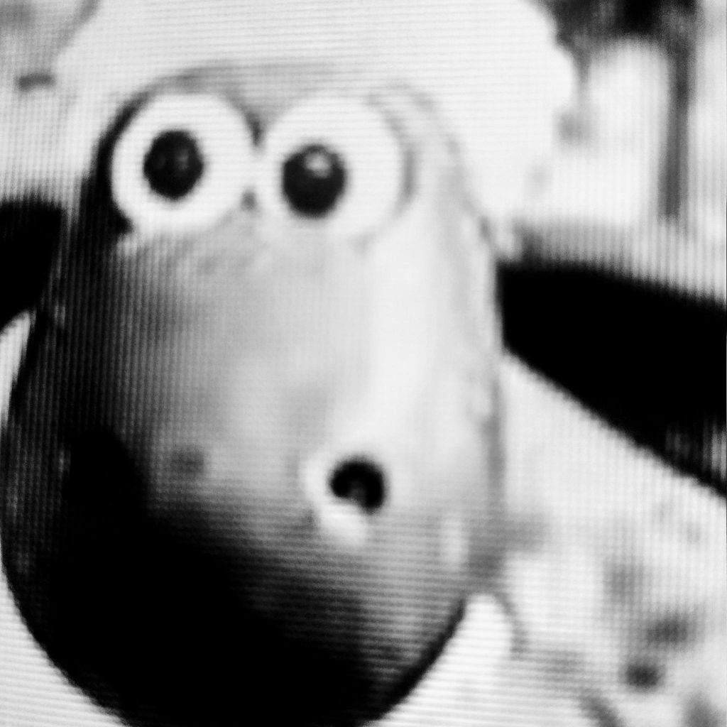 Unity Play | THE SHEEP RACE game