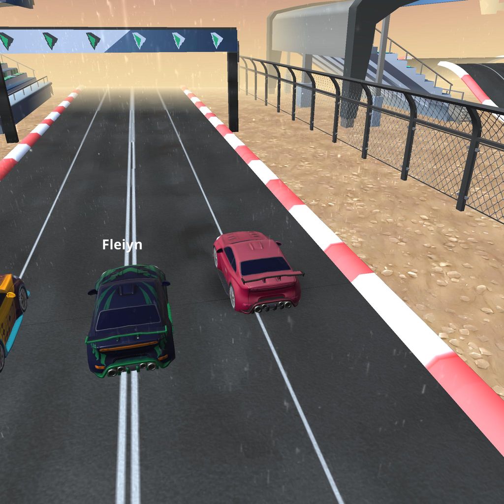 car rasing