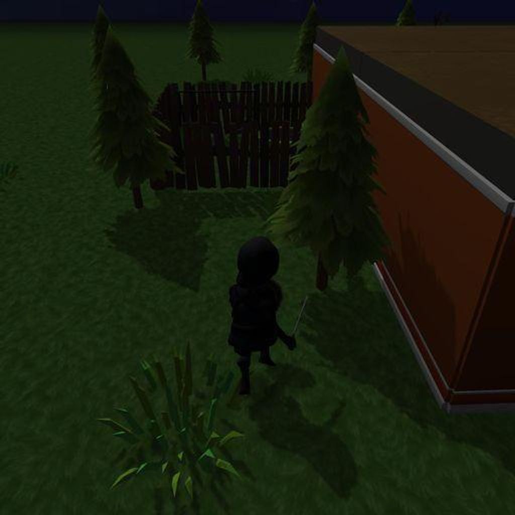 Unity Play | Two entities outside my house game