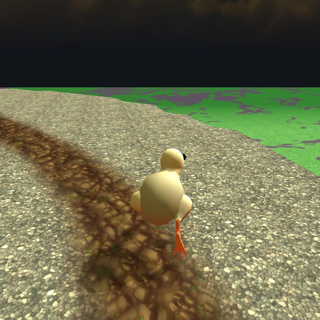 Unity Play | Elder kiwi racing game